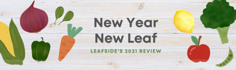 LeafSide’s 2021 Review – LeafSide