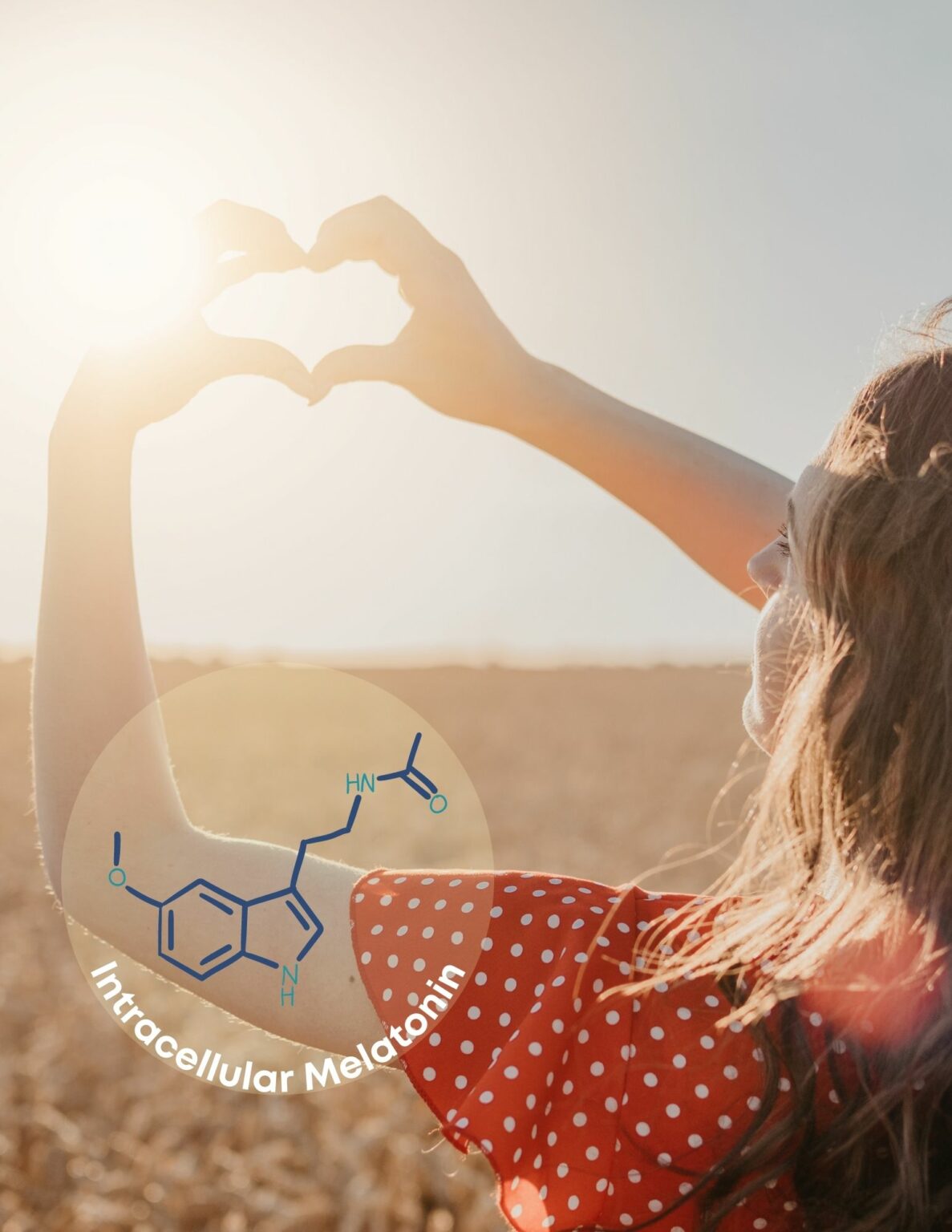 Sunlight — at the Right Time — Has No Substitute – LeafSide