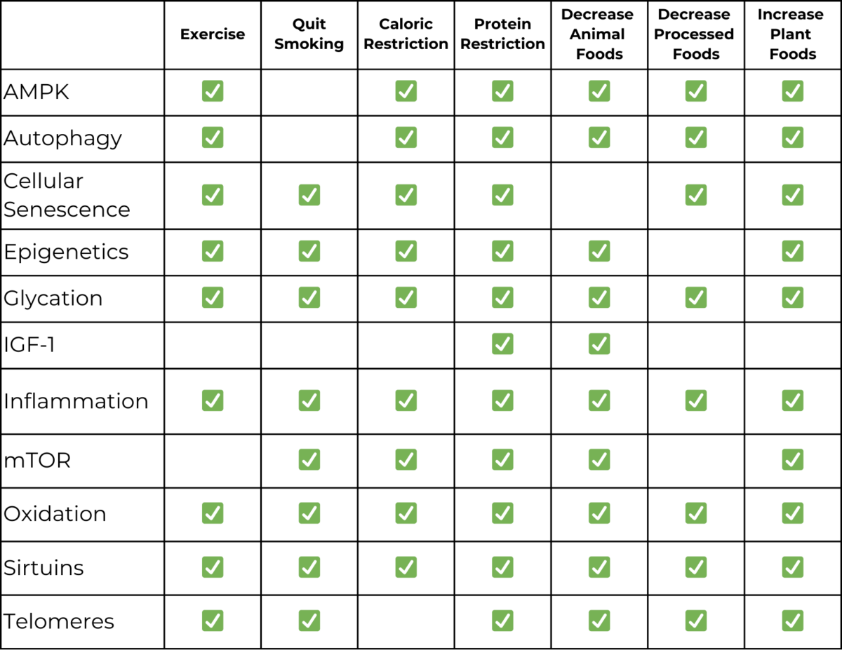 🔍 Sneak Peek: Dr. Greger’s New Book, "How Not to Age" 📚 — Part 1 - LeafSide